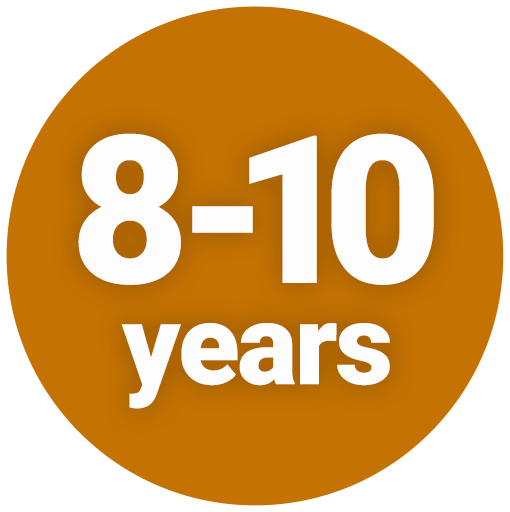 Ages - Big Kids (8-10) – Page 17 – Awesome Toys & Gifts